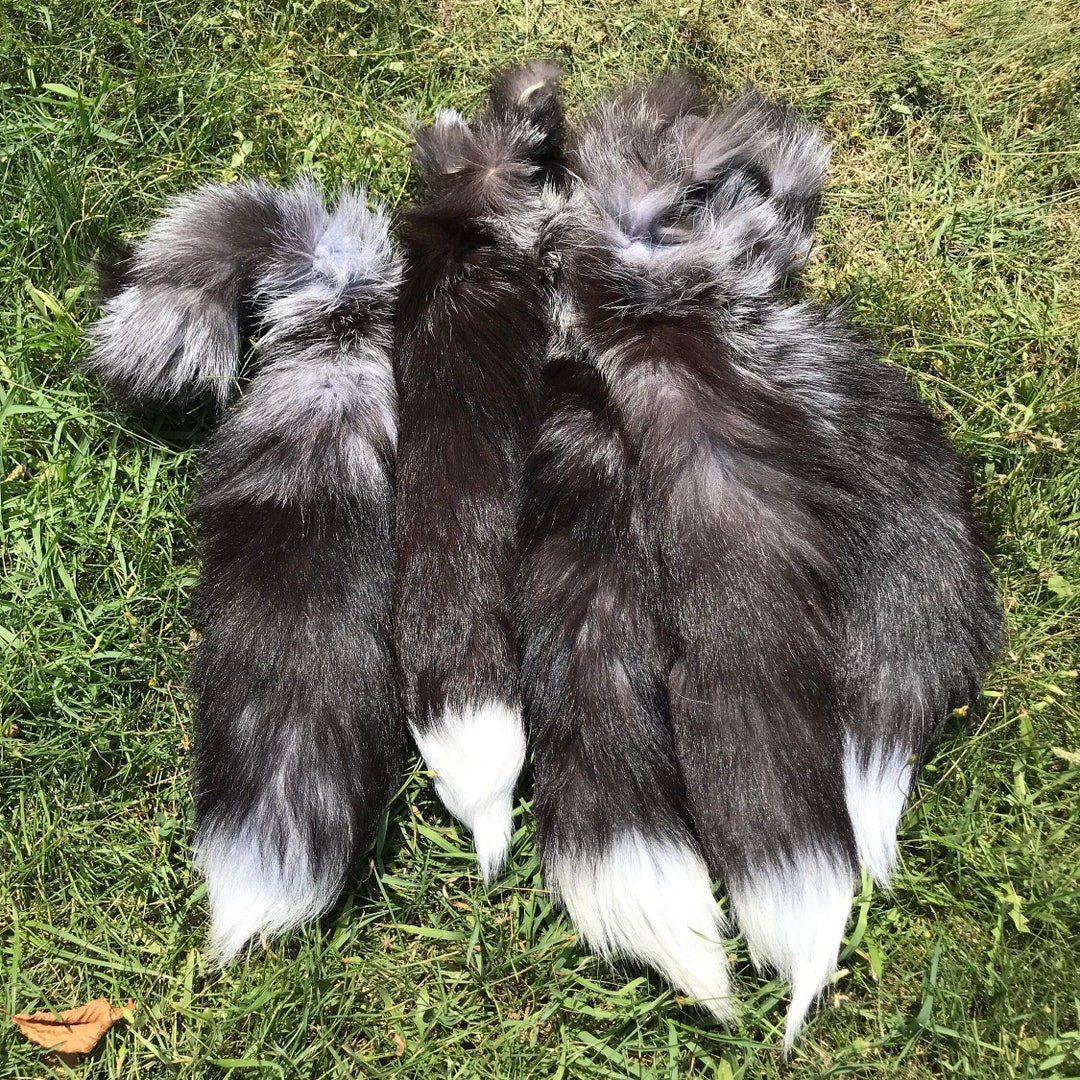 18-20 Inches Fox Tail, Real Foxtail, Silver Fox Fur, Fluffy and Soft ...