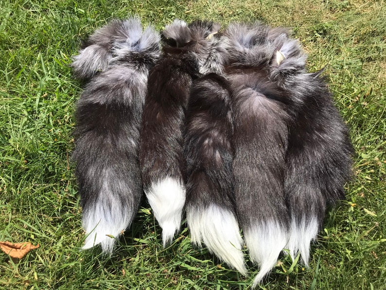 Wild Silver Foxtail Genuine Fox Tail Real Fox Fur 1st Quality Soft XL ...