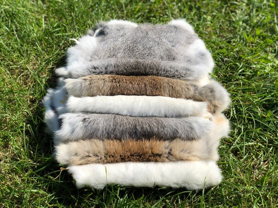 Rabbit Fur Rabbit Furs Tribal Spirit