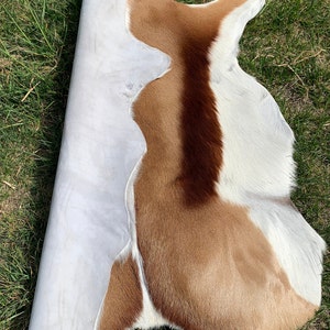 Springbok Pelt Natural Color Genuine Deer Fur Blesbok Antelope Pelt ...