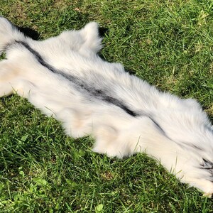 GENUINE WILD ANIMAL Pelt High Quality 1st Class Red Silver White Fox ...