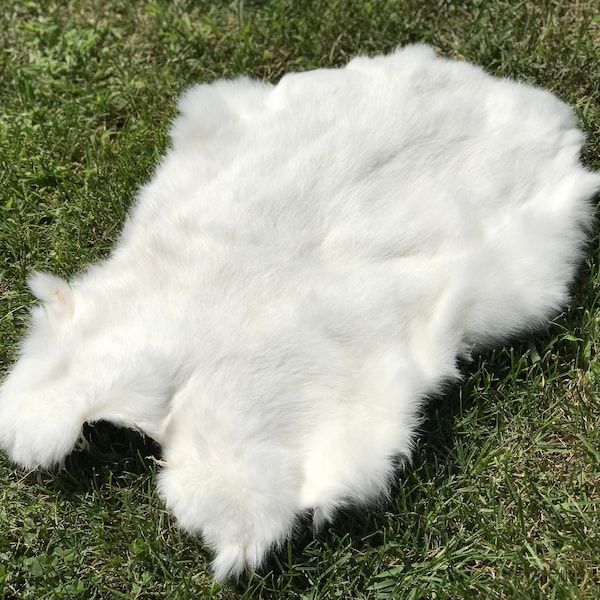 Real Fur Collar - Etsy