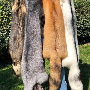 GENUINE WILD ANIMAL Pelt High Quality 1st Class Red Silver White Fox ...