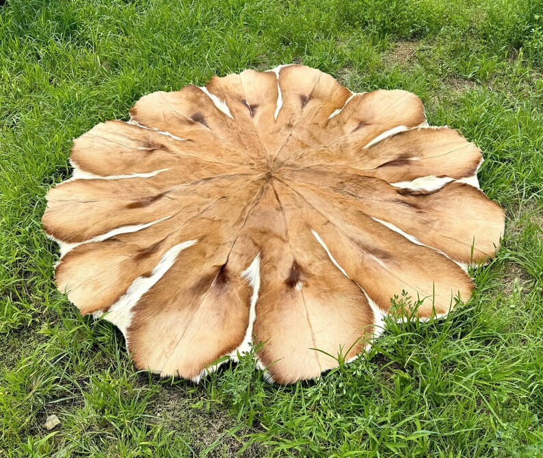 Springbok Carpet, 66x66 Inches Fur Carpet, Leather Rug, 12pcs Springbok ...