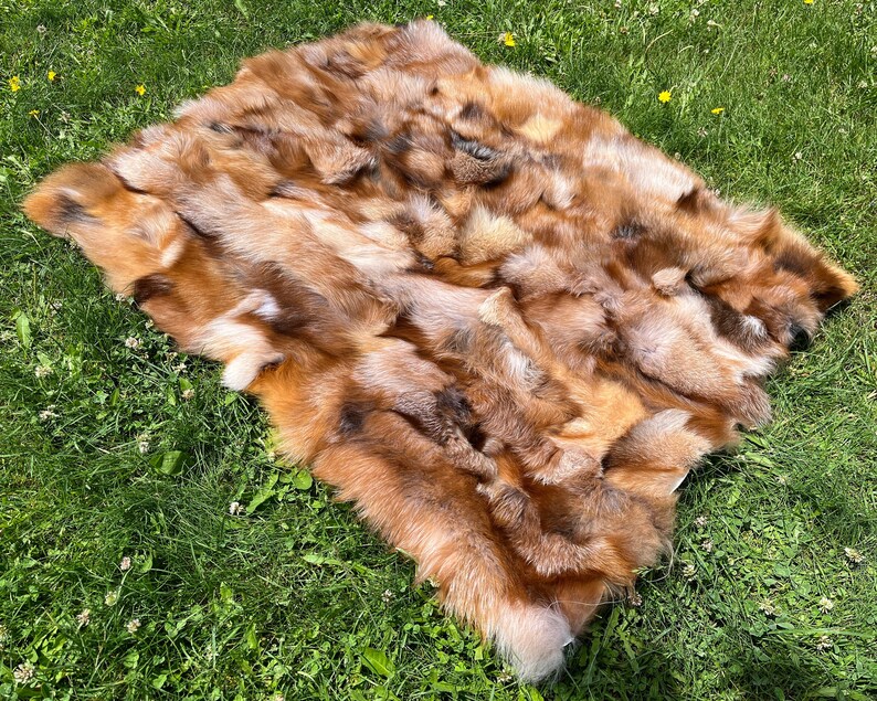 5 Different Wild Animal Furs, Silver Fox Fur, Lynx Fur, Canadian Fox ...