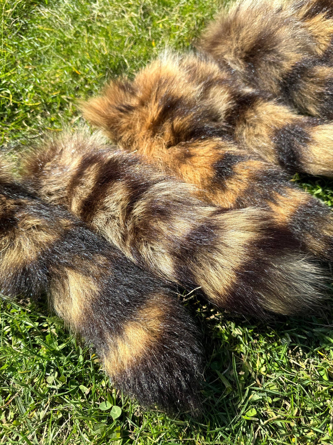 American Raccoon Tail, Natural Animal Tail, Genuine Raccoon Tail ...