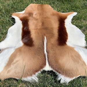 Springbok Pelt Natural Color Genuine Deer Fur Blesbok Antelope Pelt ...