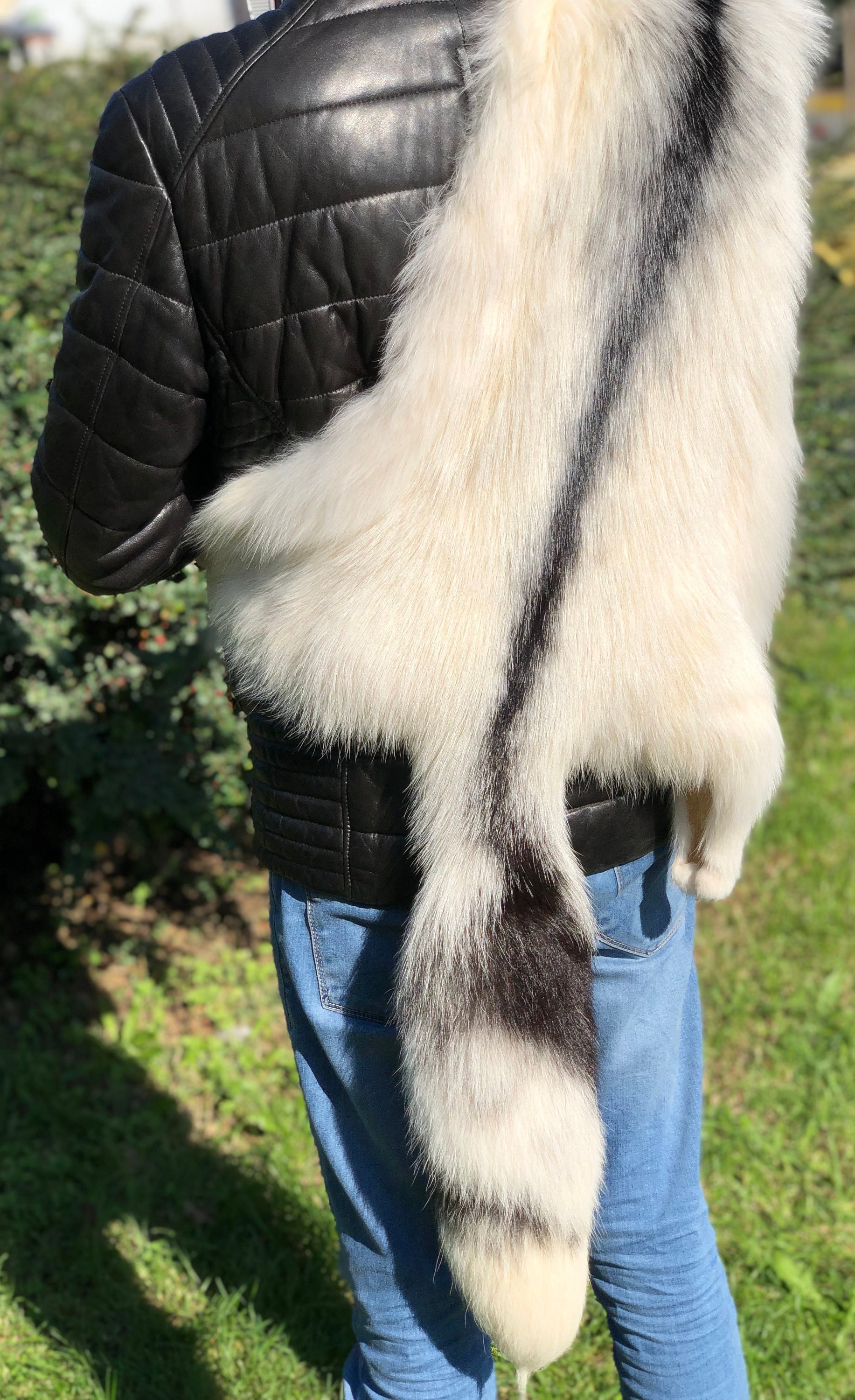 Black Striped White Arctic Fox, Altar Fur for Pagan Rites, Sacred Fox ...