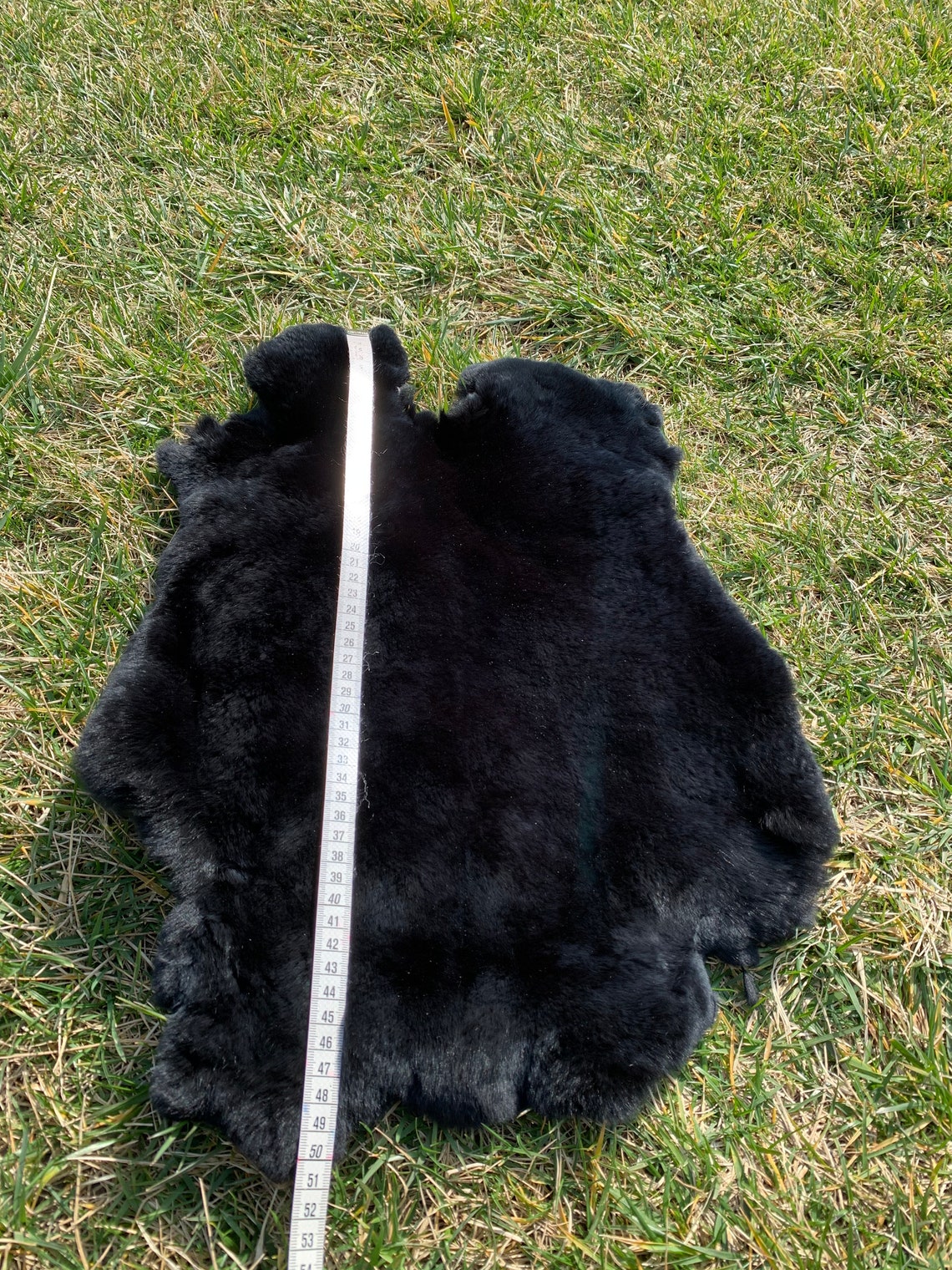 Black Rabbit Fur Jumbo Size Natural Black Rabbit Rex Pelt | Etsy