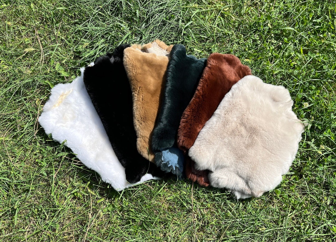 Rex Rabbit Fur 6 Different Real Natural Colors Soft-glossy-odorless ...
