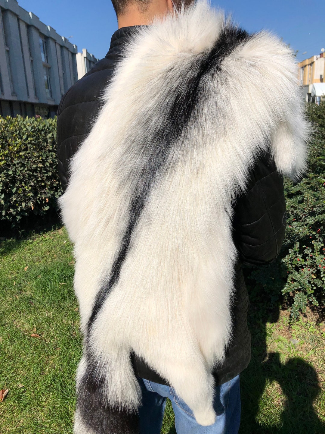 Black Striped White Arctic Fox, Altar Fur for Pagan Rites, Sacred Fox ...