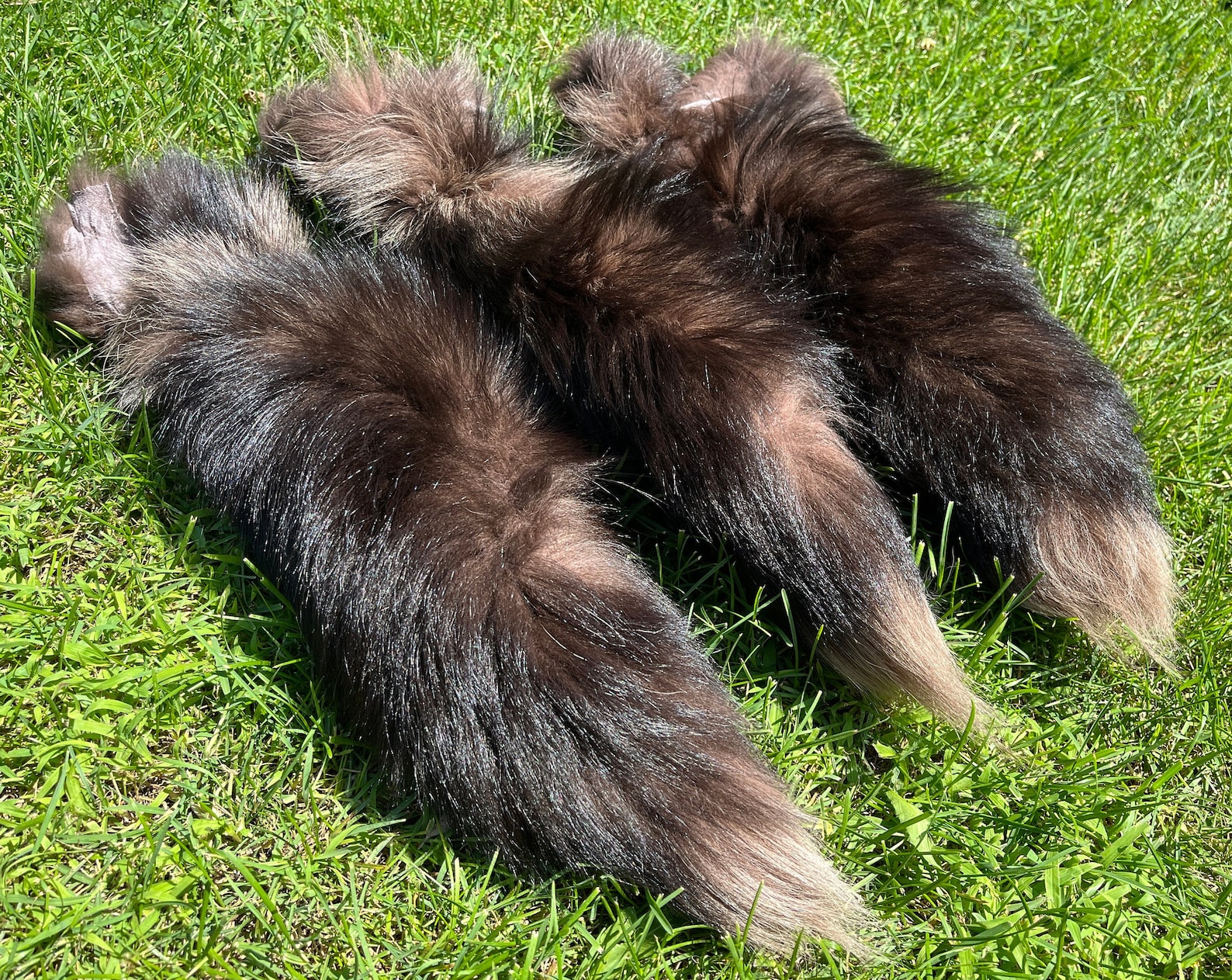9 Different Color Foxtails Cat Dog Toys Pet Toys Fox Fur - Etsy Australia