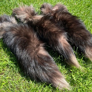 9 Different Color Foxtails, Cat Dog Toys, Pet Toys, Fox Fur Tail ...