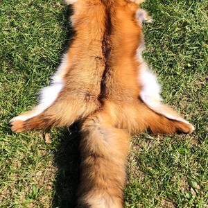 High Quality 1st Class Red Fox Pelt Real Wild Fox Furs Genuine Throw ...