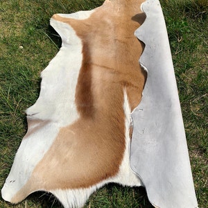 Springbok Pelt Natural Color Genuine Deer Fur Blesbok Antelope Pelt ...