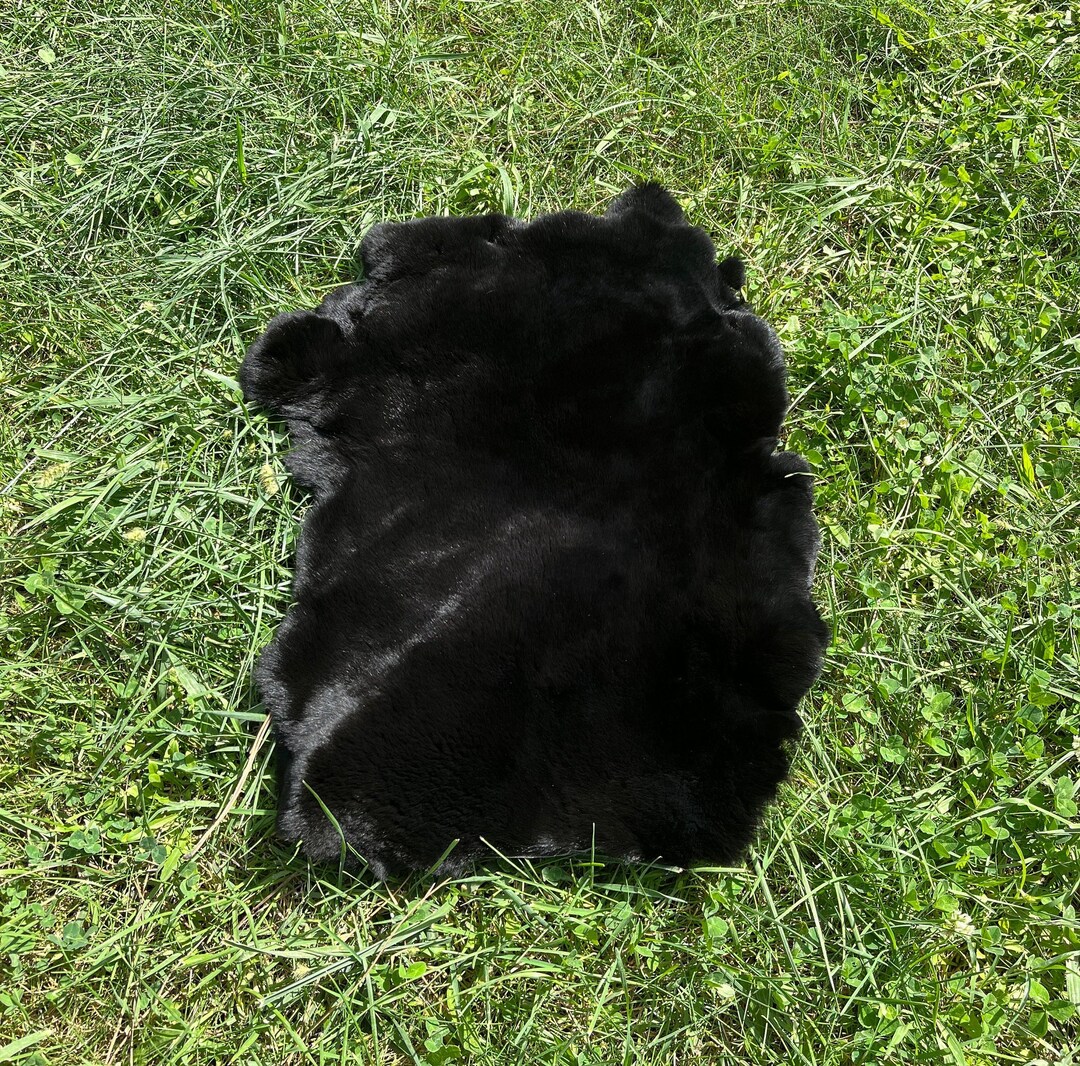 Black Rabbit Fur Jumbo Size Natural Black Rabbit Rex Pelt Rabbit Pelt ...