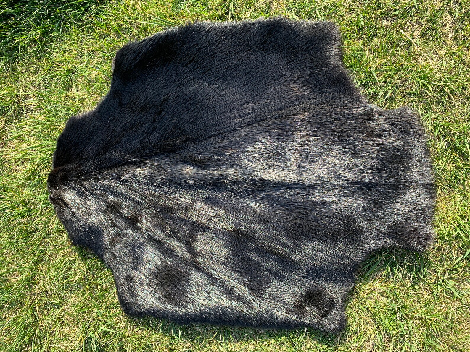 Real Beaver Fur, Black Color Leather, Farm Beaver Pelt, Luxury Animal ...