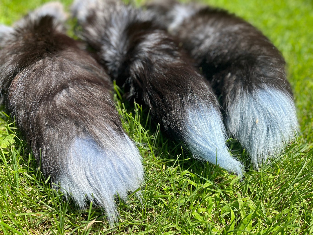 Baby Blue Foxtail, Blue Fox Tail, Black Fur, Genuine Fur Costume Tail ...