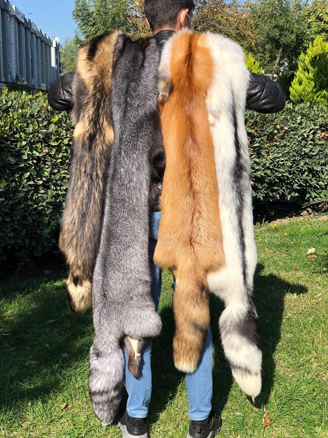GENUINE WILD ANIMAL Pelt High Quality 1st Class Red Silver White Fox ...