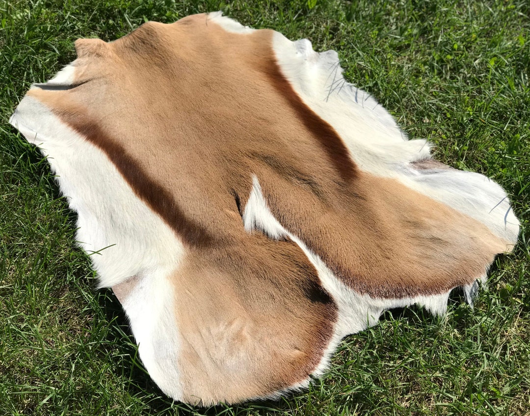 SPRINGBOK FUR African Deer Pelt Genuine Natural Springbok Hide Non-slip ...