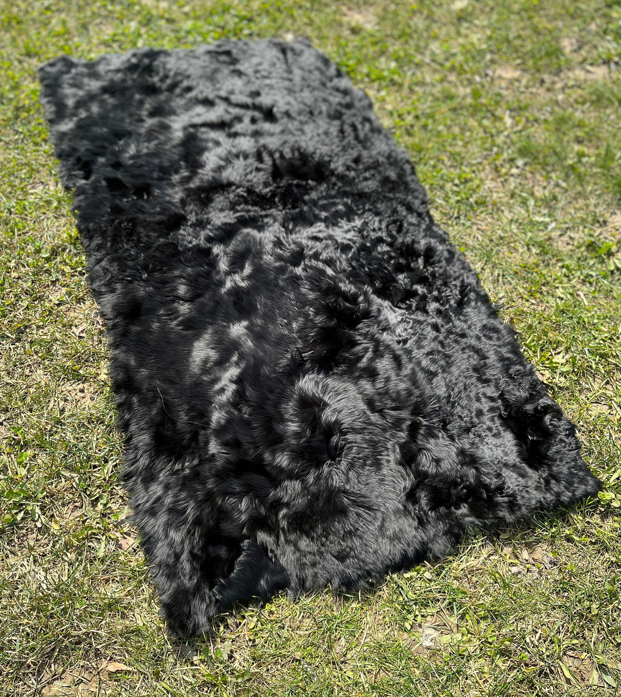 Patchwork Alpaca Hide Real Alpaca Fur Black Fur Curly - Etsy Canada