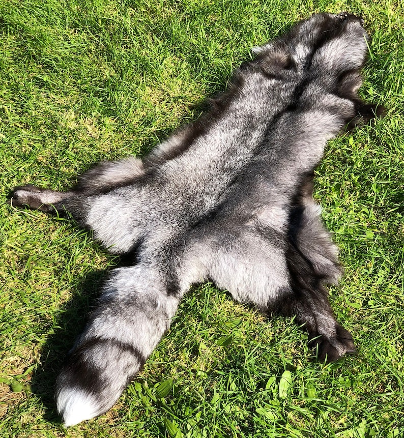 GENUINE WILD ANIMAL Pelt High Quality 1st Class Red Silver | Etsy