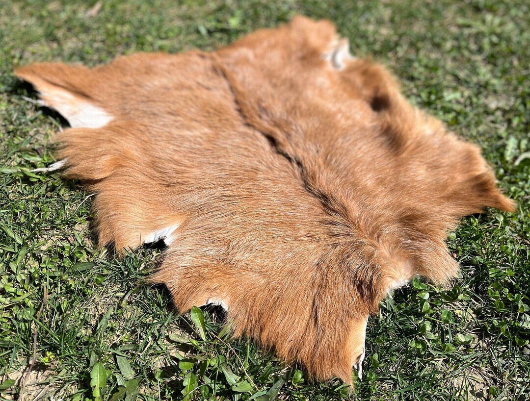 Caramel Color Goat Hide Genuine Fur Rare Color Fur Super - Etsy