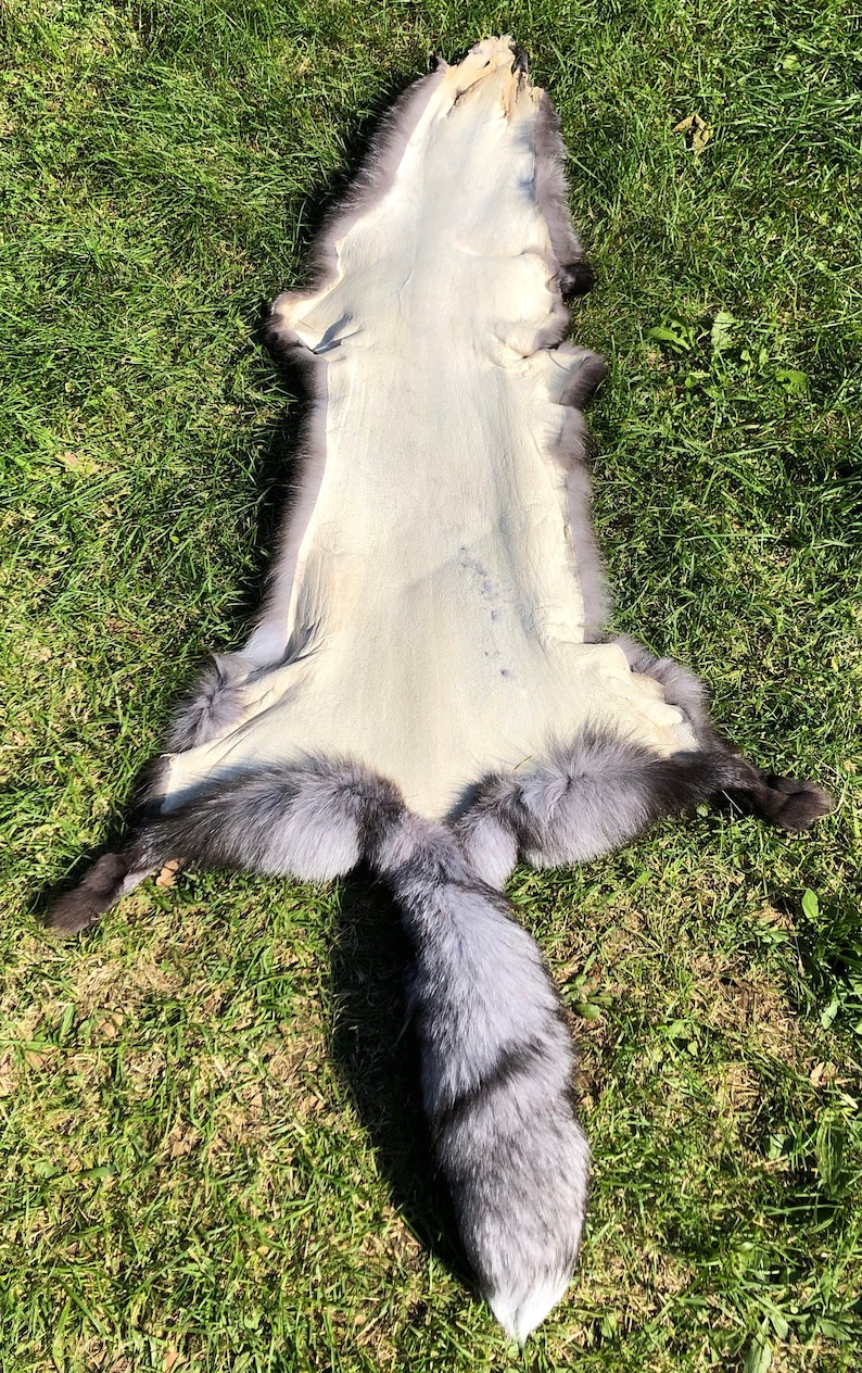 Genuine Silver Fox Fur 1st Class Fox Pelt Real Wild Fox Furs - Etsy