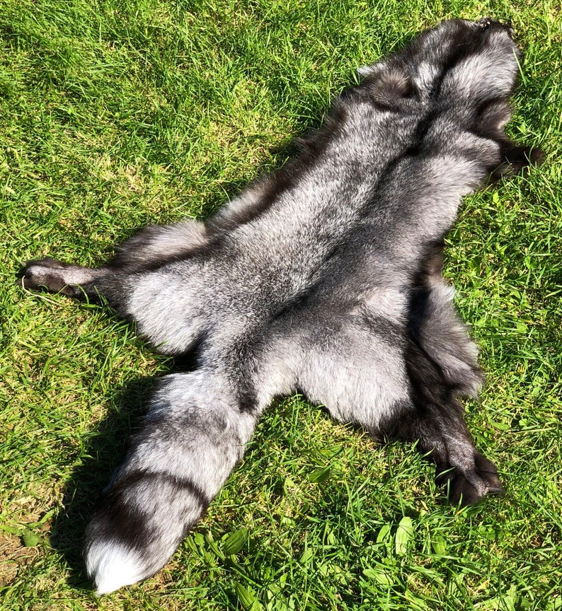 Genuine Silver Fox Fur 1st Class Fox Pelt Real Wild Fox Furs | Etsy