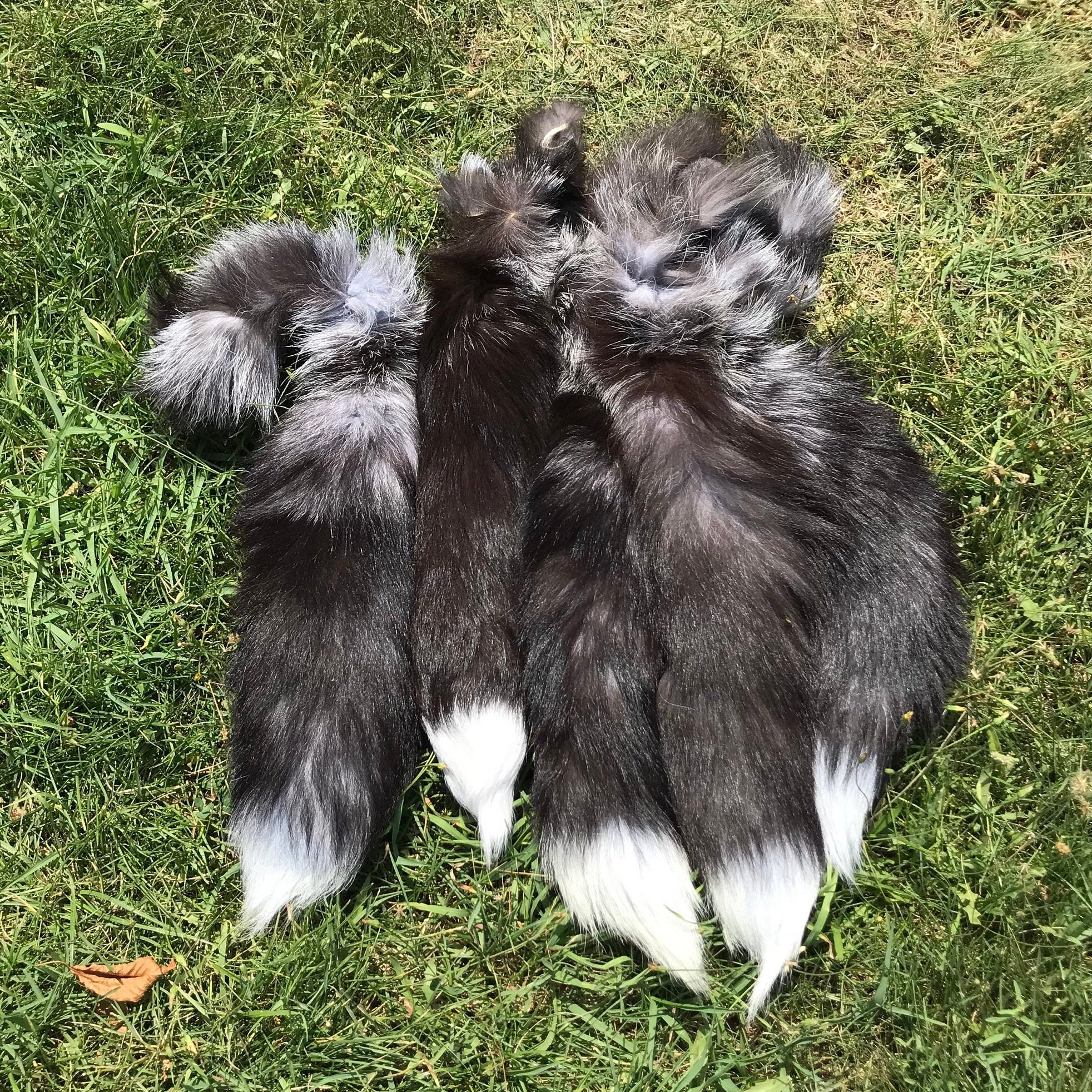 Wild Silver Foxtail Genuine Fox Tail Real Fox Fur 1st Quality Soft XL ...