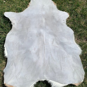Springbok Pelt Natural Color Genuine Deer Fur Blesbok Antelope Pelt ...