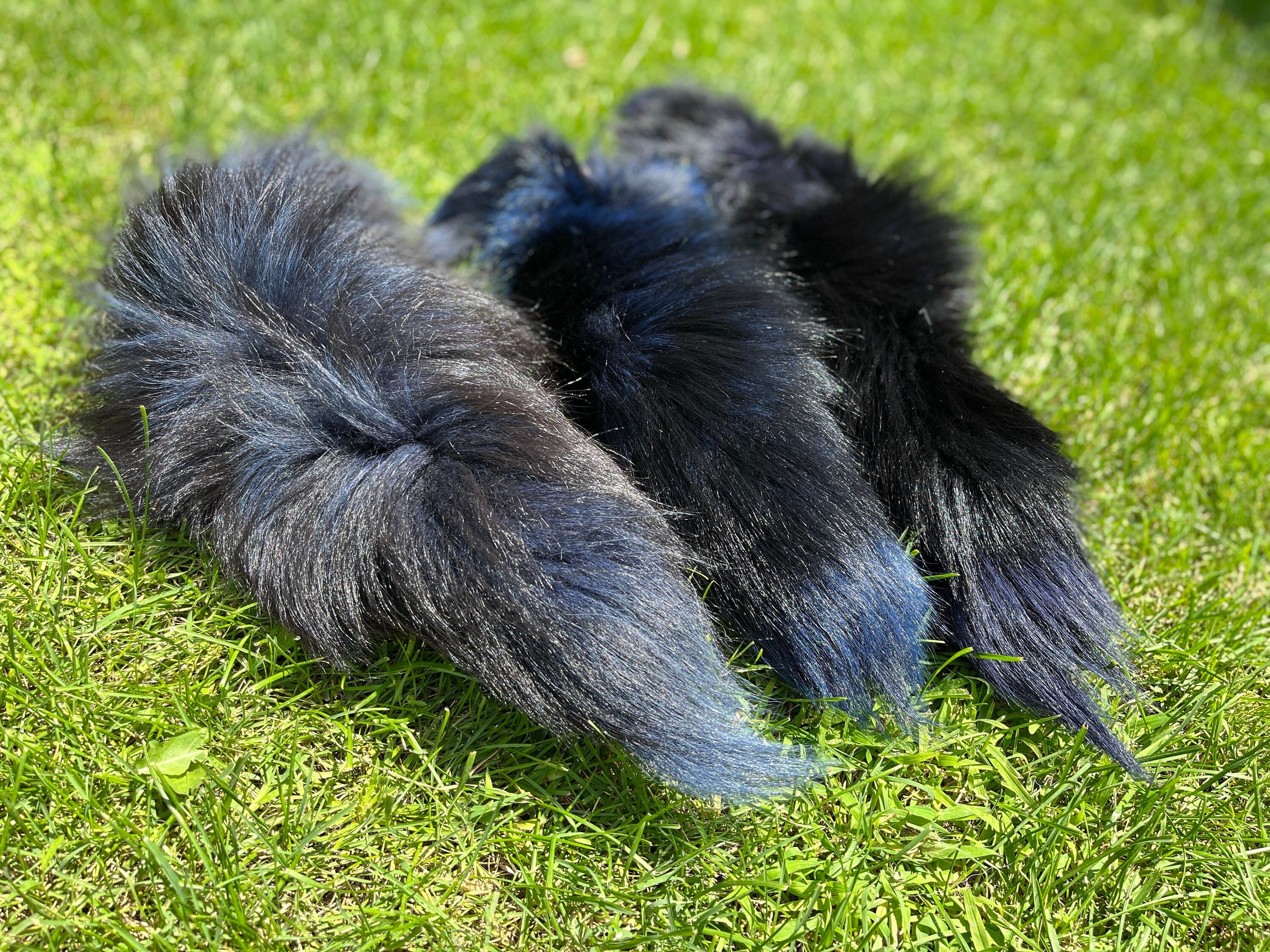 The Blue Fox Tails