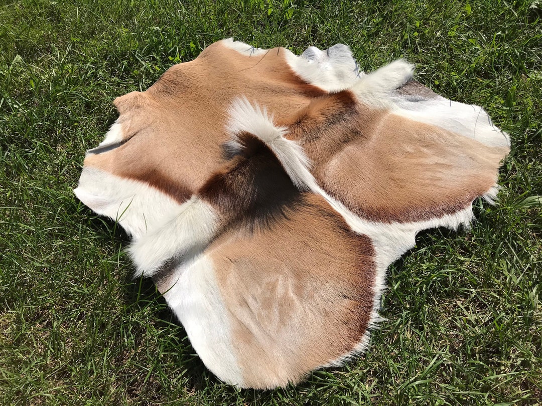 DECORATIVE SPRINGBOK FUR Natural Brown Color Genuine Deerskin Blesbok ...