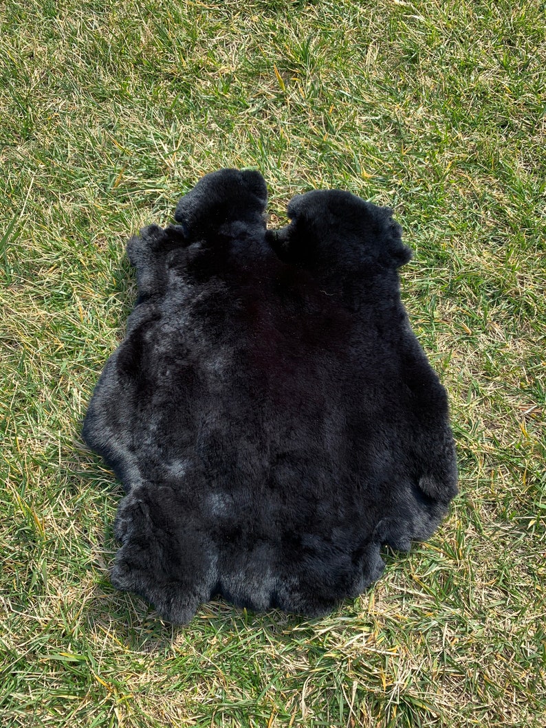 Black Rabbit Fur Jumbo Size Natural Black Rabbit Rex Pelt | Etsy