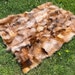 Fox Hide for Altars, Wild Fox Fur, Canadian Fox Pelt, Sacrament Fur ...