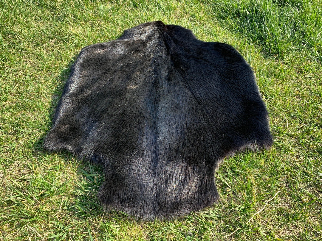 Real Beaver Fur, Black Color Leather, Farm Beaver Pelt, Luxury Animal ...