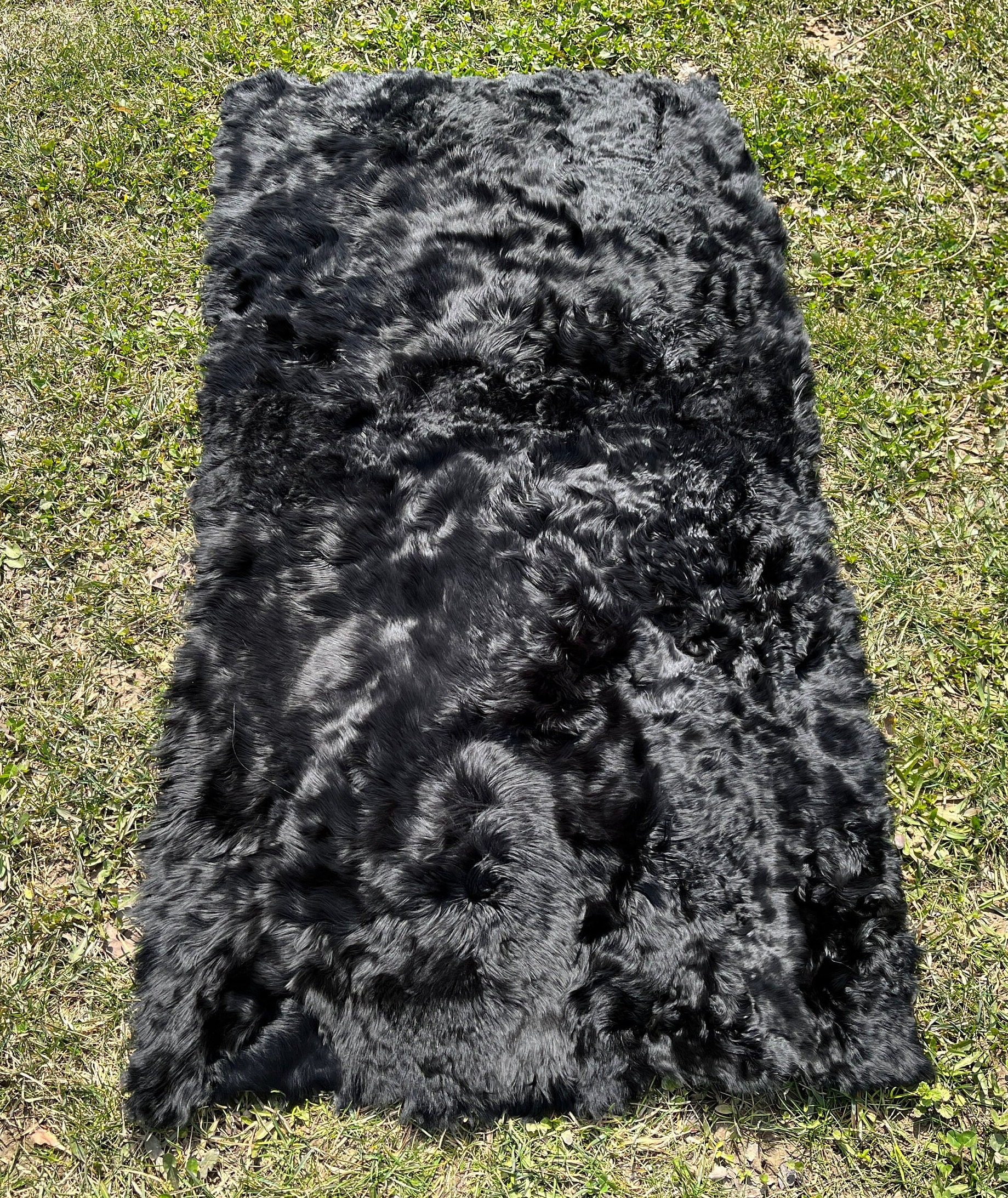 Patchwork Alpaca Hide Real Alpaca Fur Black Fur Curly - Etsy Canada