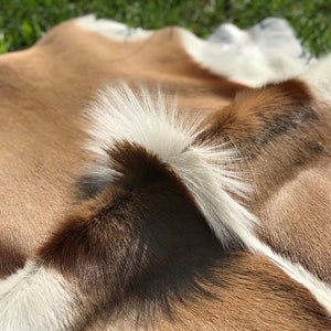 SPRINGBOK FUR African Deer Pelt Genuine Natural Springbok Hide Non-slip ...