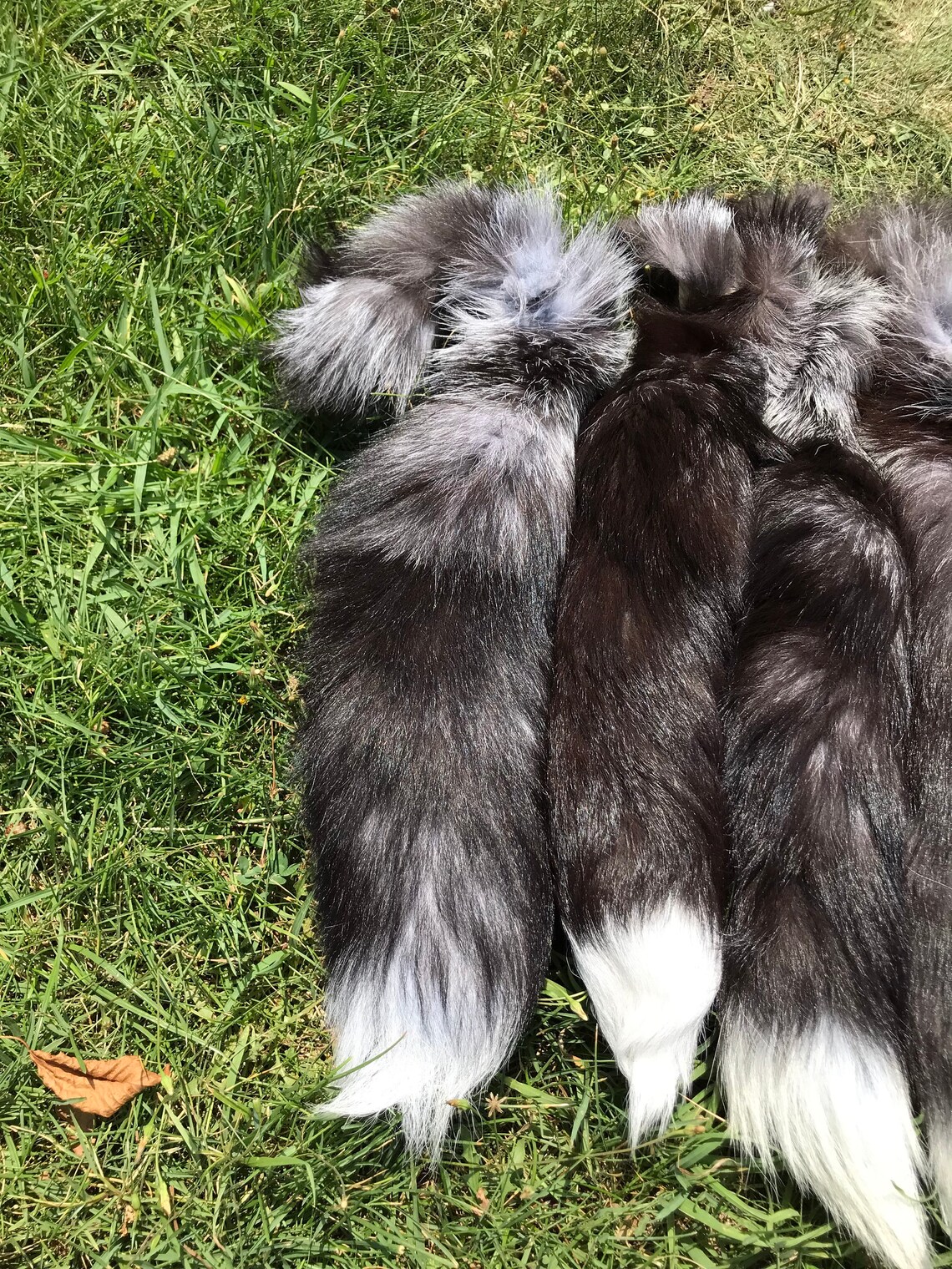 Wild Silver Foxtail Genuine Fox Tail Real Fox Fur 1st Quality Soft XL ...