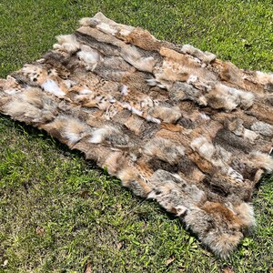 5 Different Wild Animal Furs, Silver Fox Fur, Lynx Fur, Canadian Fox ...