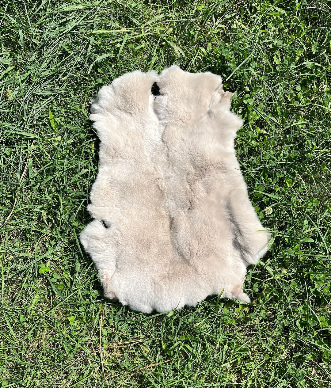 Beige Rabbit Pelt, High Quality Fur Hide, Real Genuine Rabbit, 3XL Pelt ...