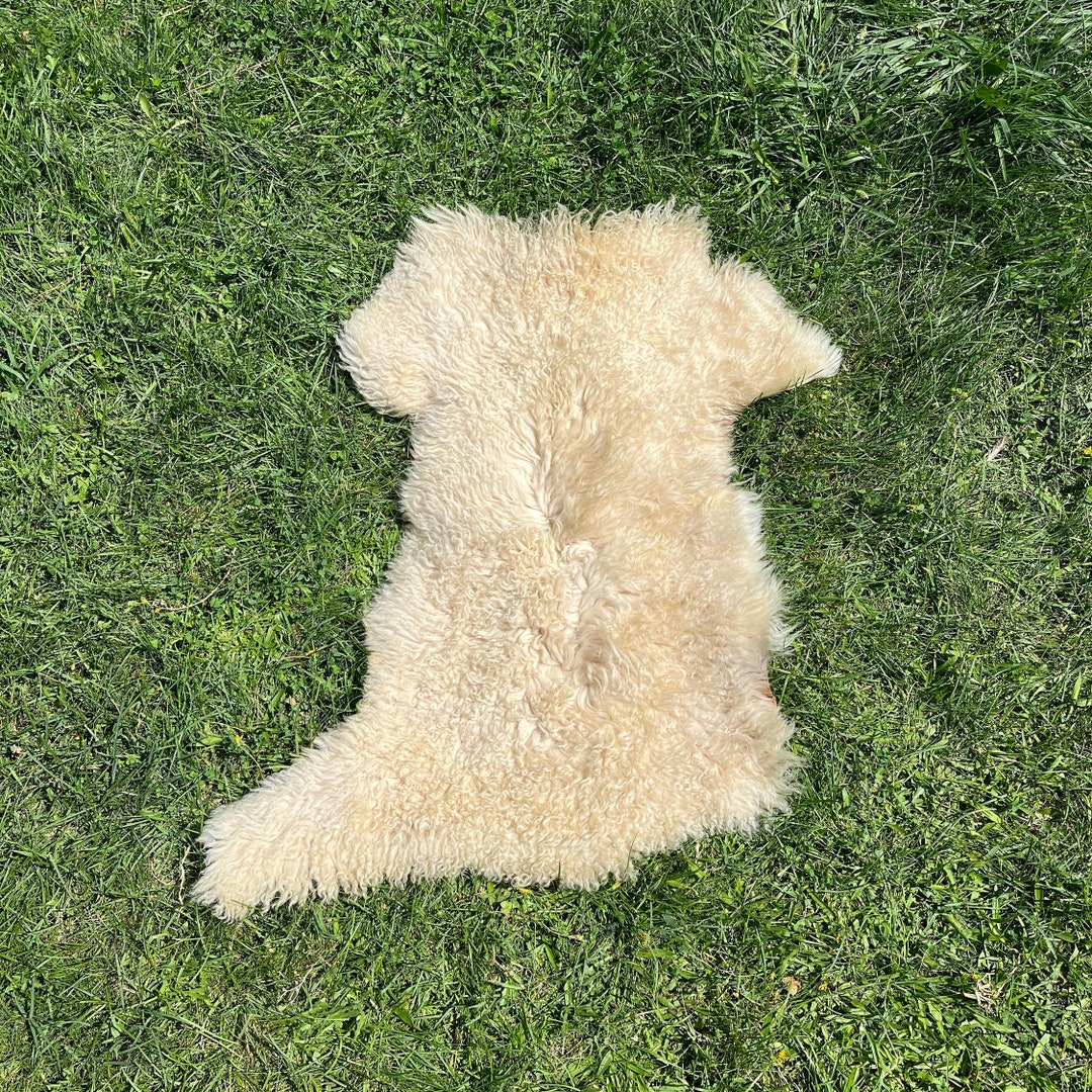 Curly Australian Sheepskin, Natural Color Sheep Hide, Throw Animal ...