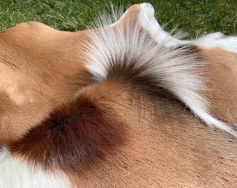 Real Springbok Pelt - Etsy