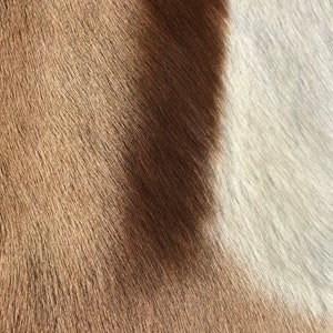 SPRINGBOK FUR African Deer Pelt Genuine Natural Springbok Hide Non-slip ...