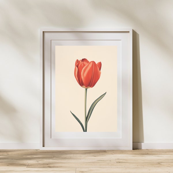 Tulip Wall Art - Etsy