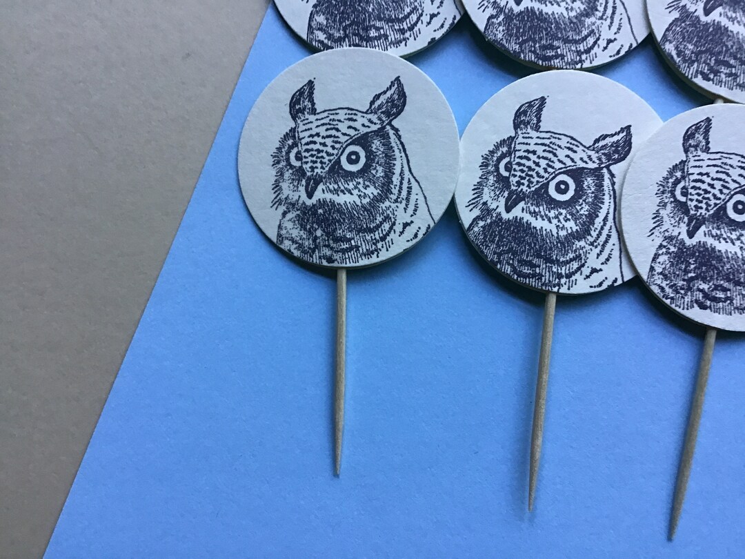 Owl Cupcake Toppers, Muffin Toppers, Party Decor, Nature-inspired, John ...