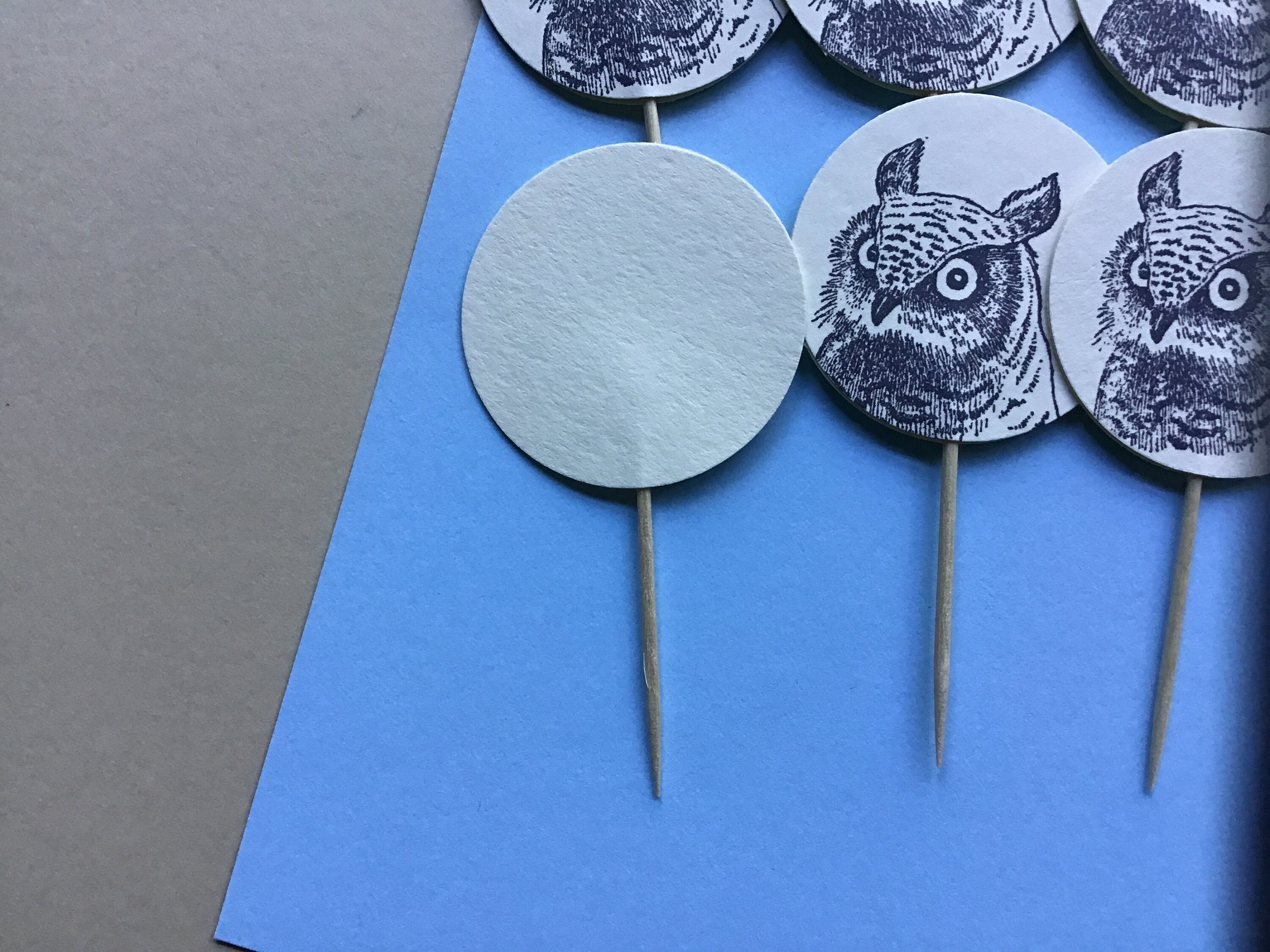 Owl Cupcake Toppers, Muffin Toppers, Party Decor, Nature-inspired, John ...