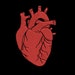 Realistic Heart Embroidery Design for Machine Embroidery. | Etsy