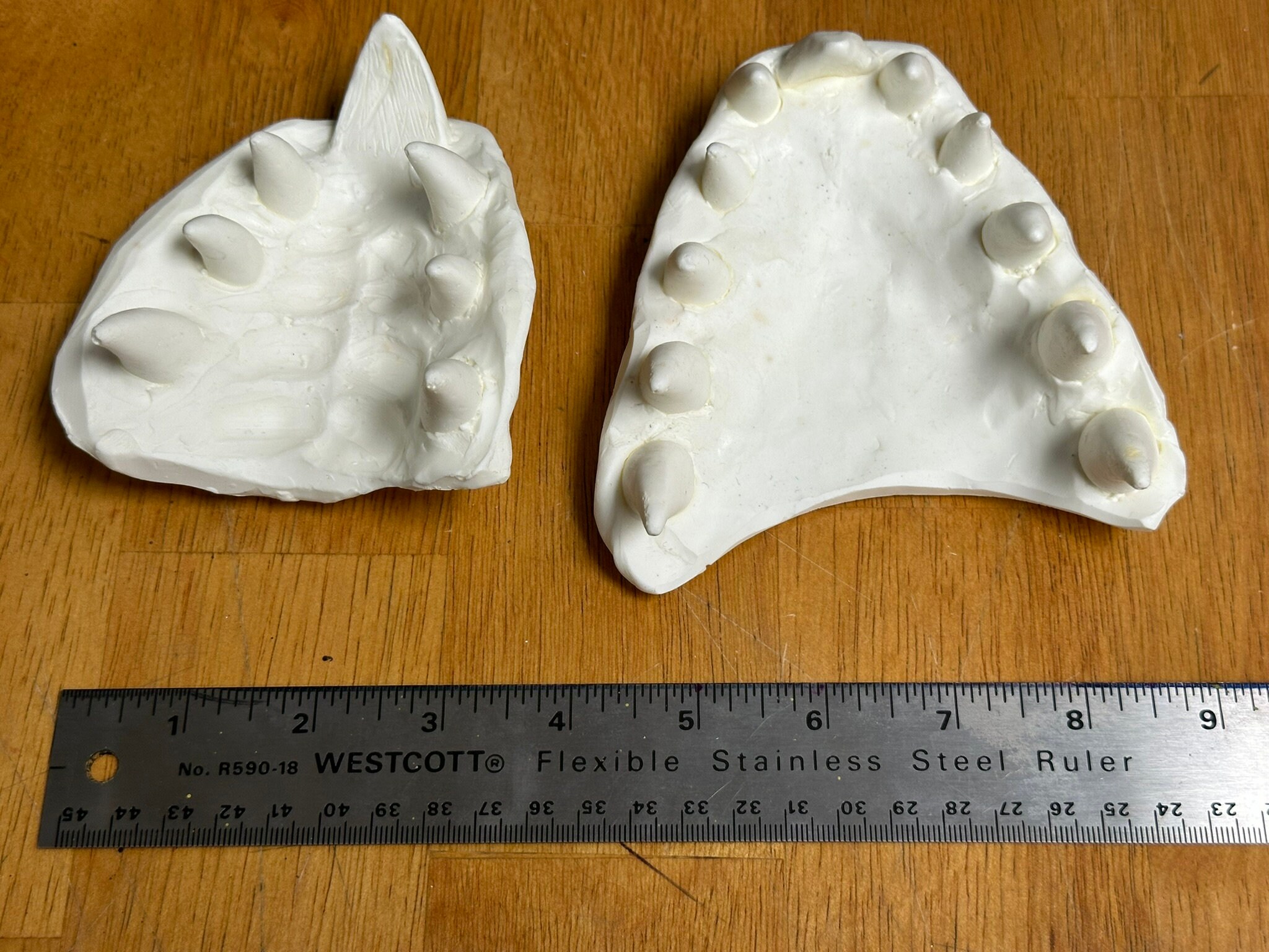 Four Eyed Dragon Resin Fursuit Teeth, Banshee, Avatar, DIY Furry Jaw ...