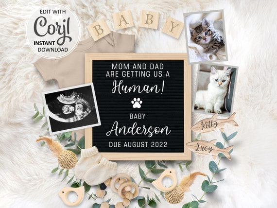 Cat Pregnancy Announcement Digital Card Baby Announcement Pet | Etsy